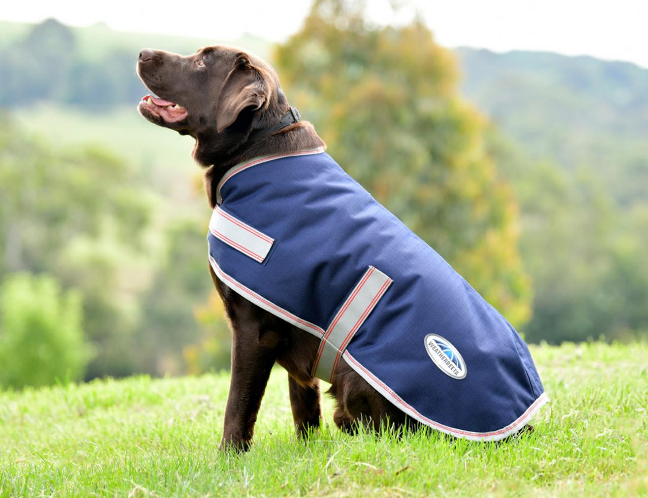 WEATHERBEETA COMFITEC ESSENTIAL PLUS PARKA DOG COAT | Weatherbeeta ...
