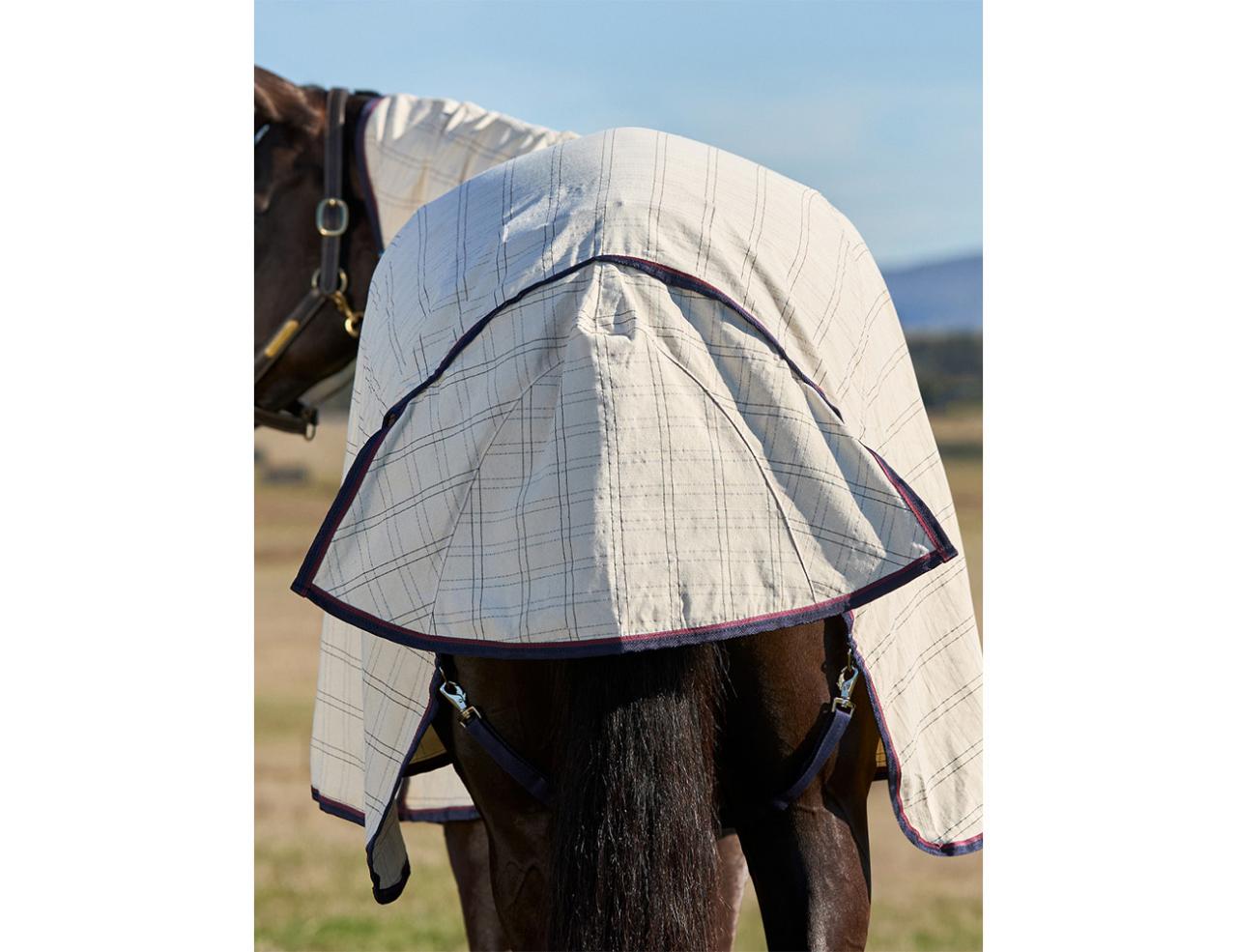 WEATHERBEETA COTTON SUMMER SHEET COMBO | Weatherbeeta - New Zealand