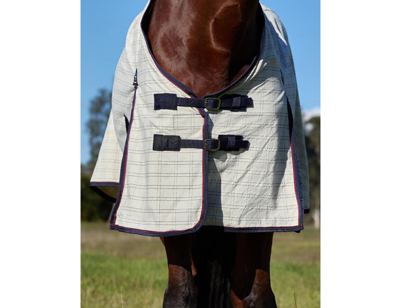 WEATHERBEETA COTTON SUMMER SHEET | Weatherbeeta - New Zealand