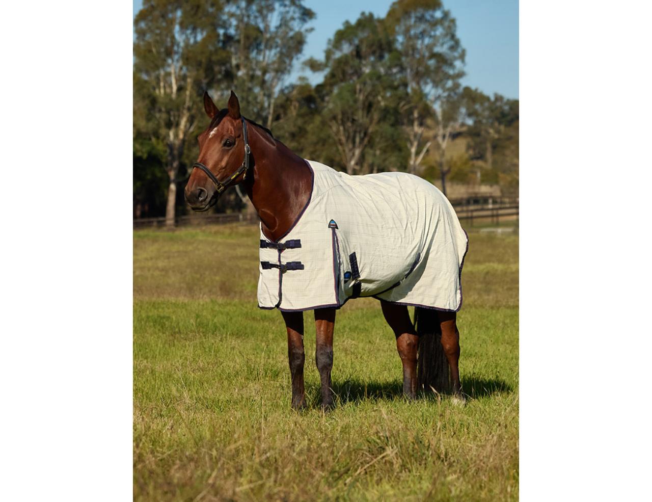 WEATHERBEETA COTTON SUMMER SHEET | Weatherbeeta - New Zealand