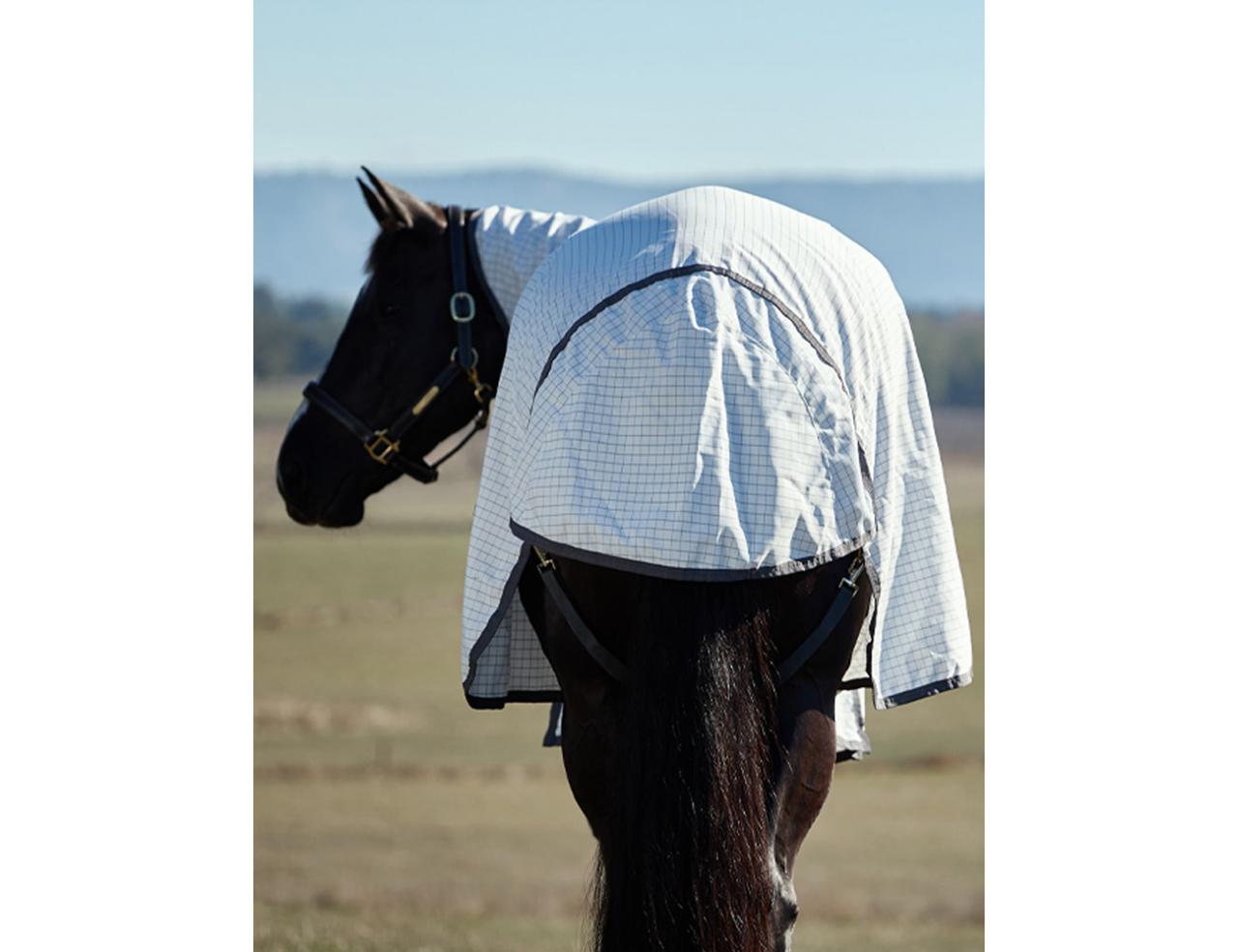 WEATHERBEETA HYBRID SHEET COMBO | Weatherbeeta - New Zealand