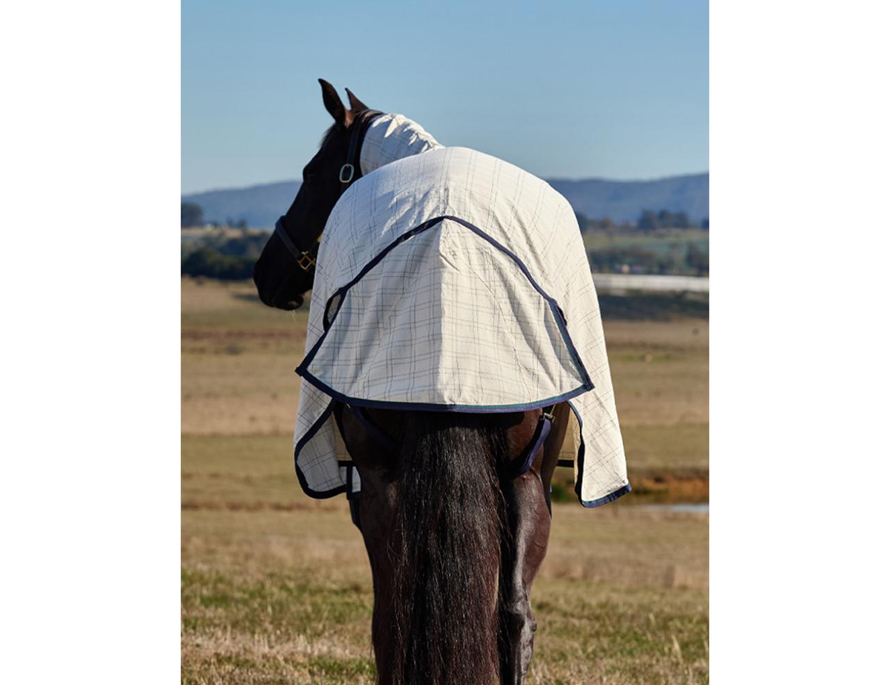 WEATHERBEETA COTTON SUMMER SHEET LITE COMBO | Weatherbeeta - New Zealand