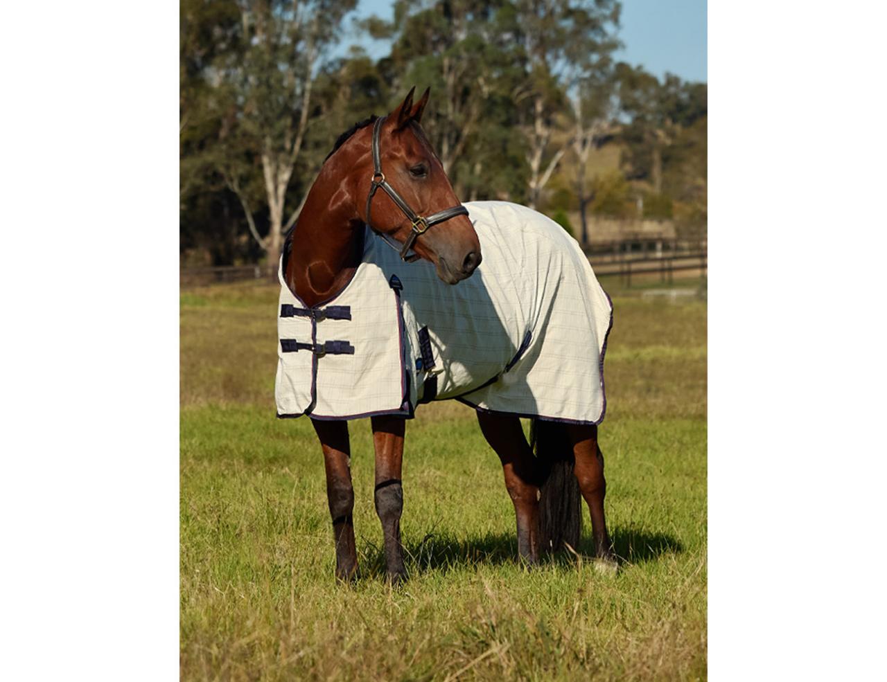WEATHERBEETA COTTON SUMMER SHEET | Weatherbeeta - New Zealand
