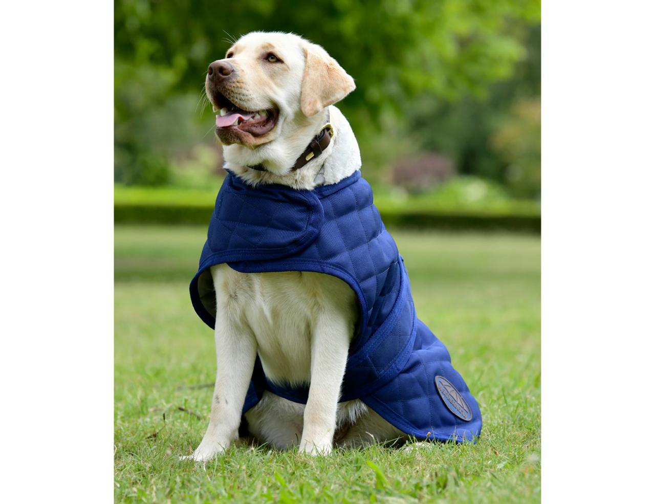 WEATHERBEETA COMFITEC DELUXE DIAMOND QUILT DOG COAT | Weatherbeeta - New Zealand