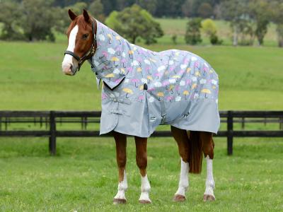 Turnout Rugs | Weatherbeeta - New Zealand